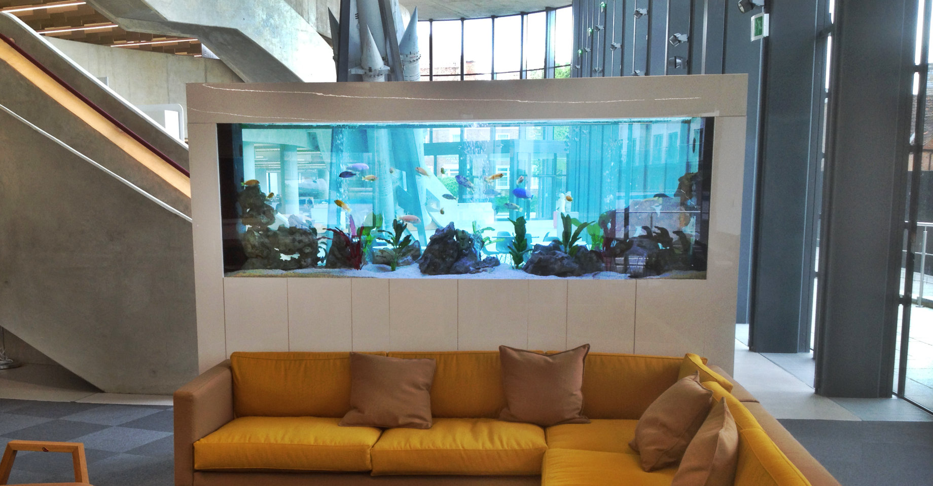 Custom Fish Tanks, Bespoke Aquarium Design & Installation UK