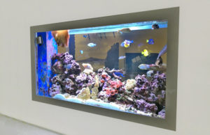 In Wall Aquarium Design & Installation | In Wall Fish Tank UK Specialist