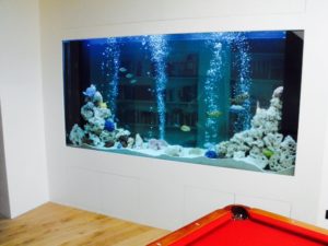 In Wall Aquarium Design & Installation | In Wall Fish Tank UK Specialist