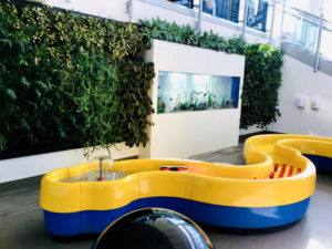 Science Museum Aquarium, Cardiff Bay (49) | Aquarium Services