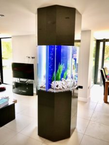 Pair of 6 Sided Aquariums, Leeds (52) | Aquarium Services