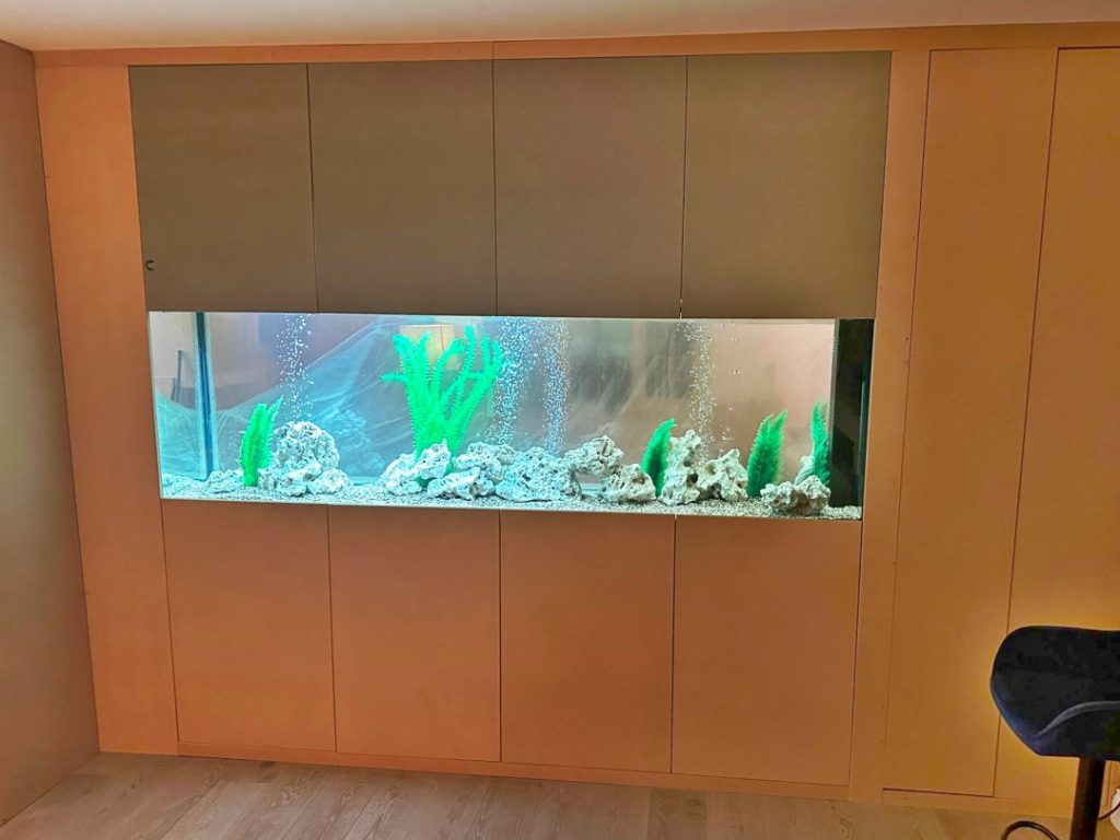 Room Divider Aquarium Buckinghamshire (71) | Aquarium Services